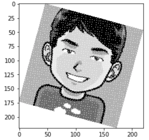 Rotation and shear mapping of Linear algebra - codingecho