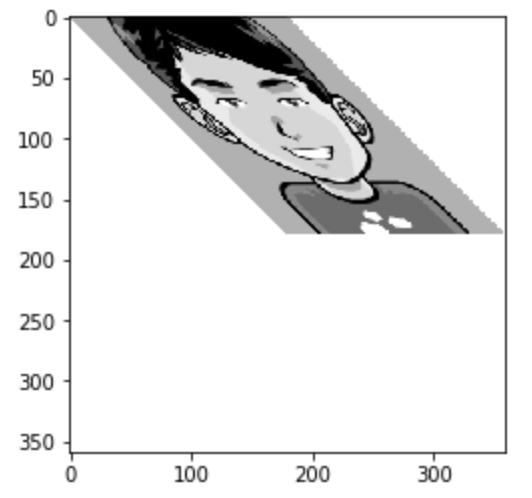 Rotation and shear mapping of Linear algebra - codingecho