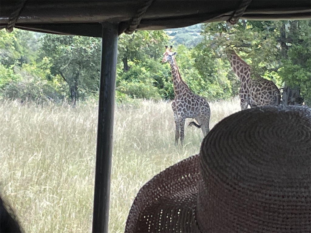 【アンゴラ観光】Miradouro da Lua,Mussolo,Quicama - yu-k’s blog