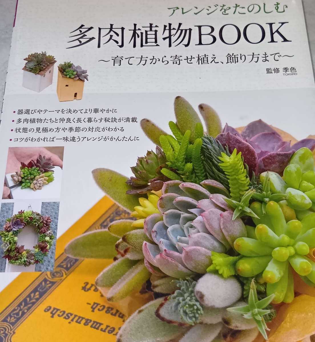 今さらながらも、買ってみた本 20250617 - 春の黄緑 秋の黄橙