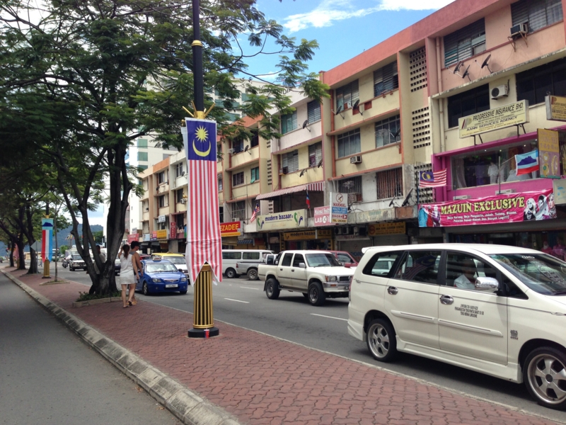 CIA NURSE - NEW NURSING