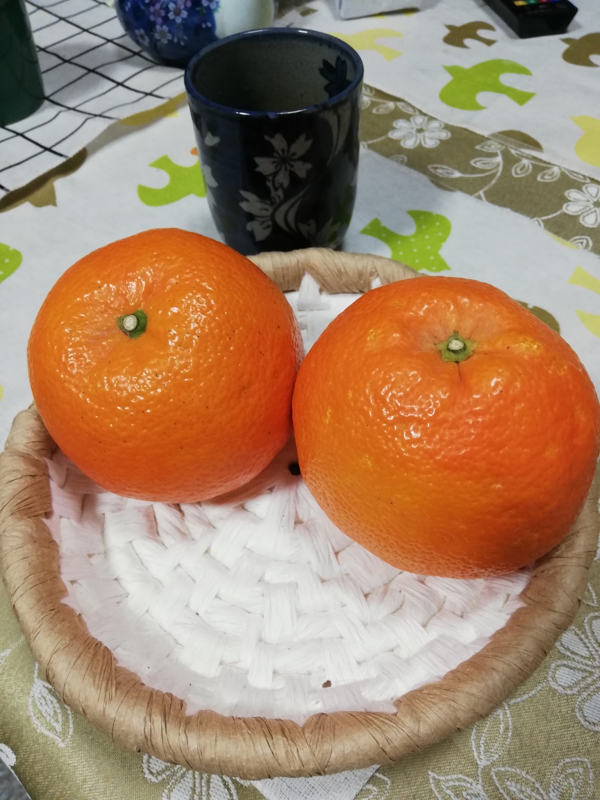 今日はのんびり - yukai-jijiの日記