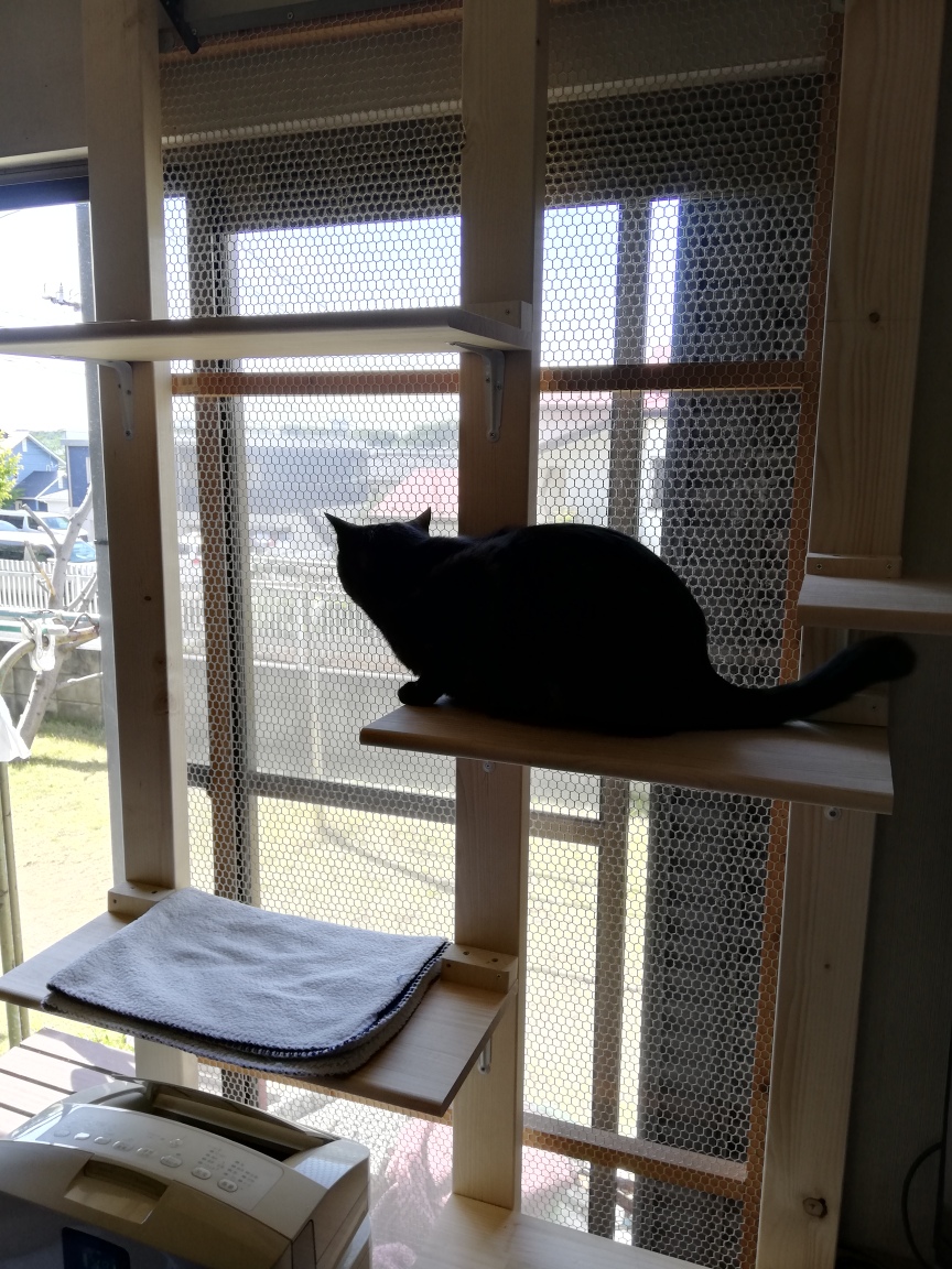 荒れた天気 - yukai-jijiの日記