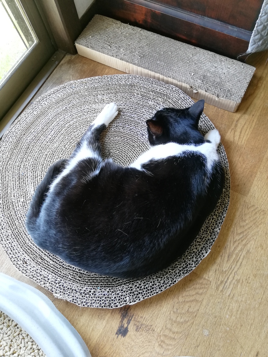 今日は雨 - yukai-jijiの日記