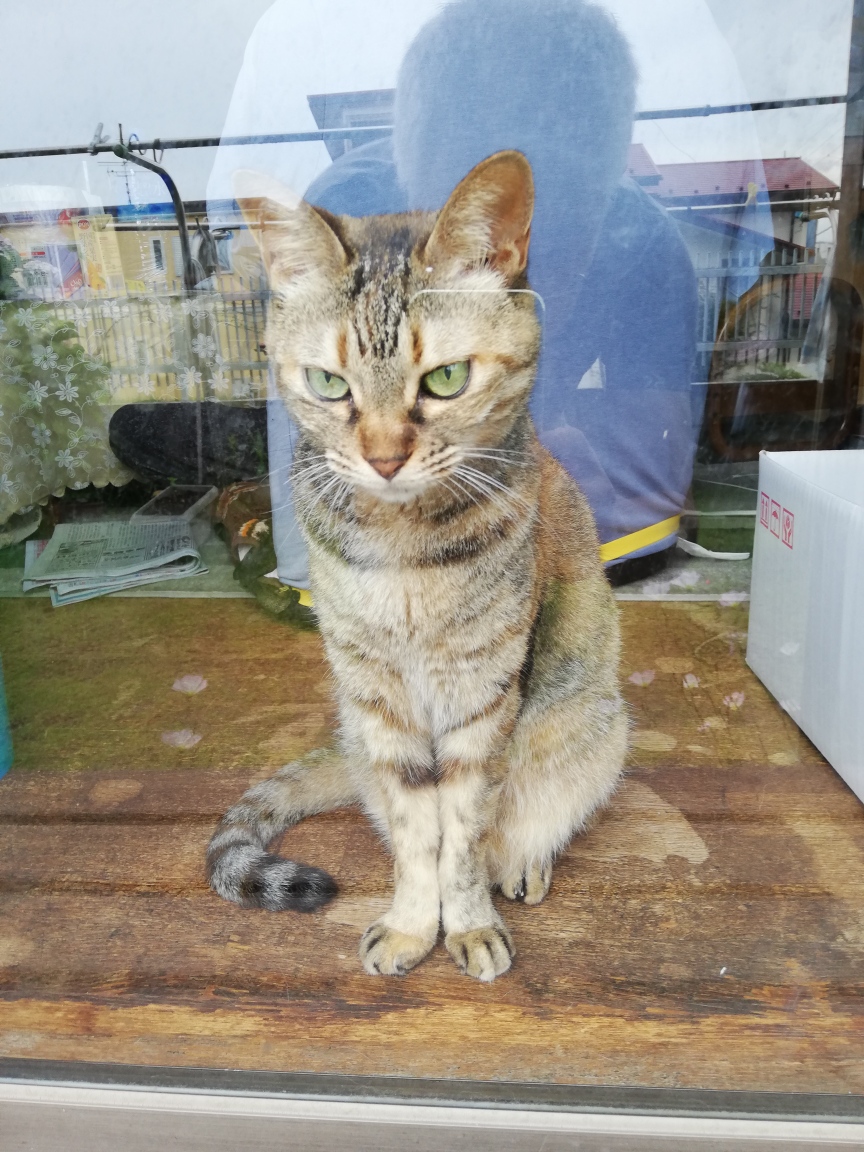 二回目接種に行ってきました - yukai-jijiの日記