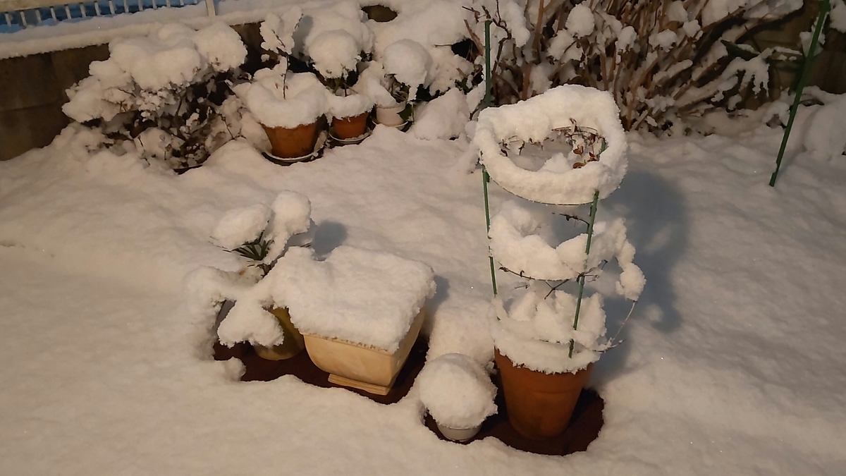 なんと、今日は雪。 - yukai-jijiの日記
