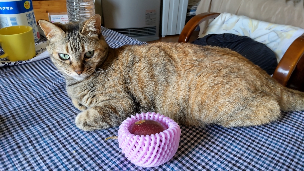 イーブンならず・・・ - yukai-jijiの日記