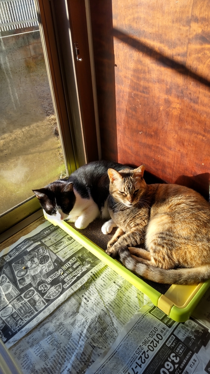 出だしはまあまあ、かな？ - yukai-jijiの日記