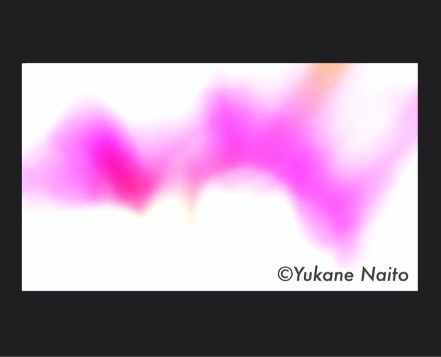 写真アート『飛翔する極楽鳥』 - yukane-naito’s diary