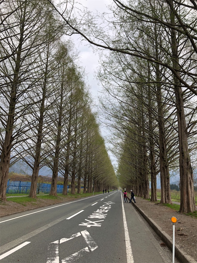 滋賀旅行 - シンプルライフの備忘録