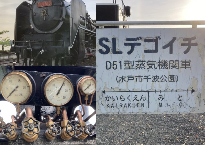 千波公園のD51型蒸気機関車 - MOMO BLOG