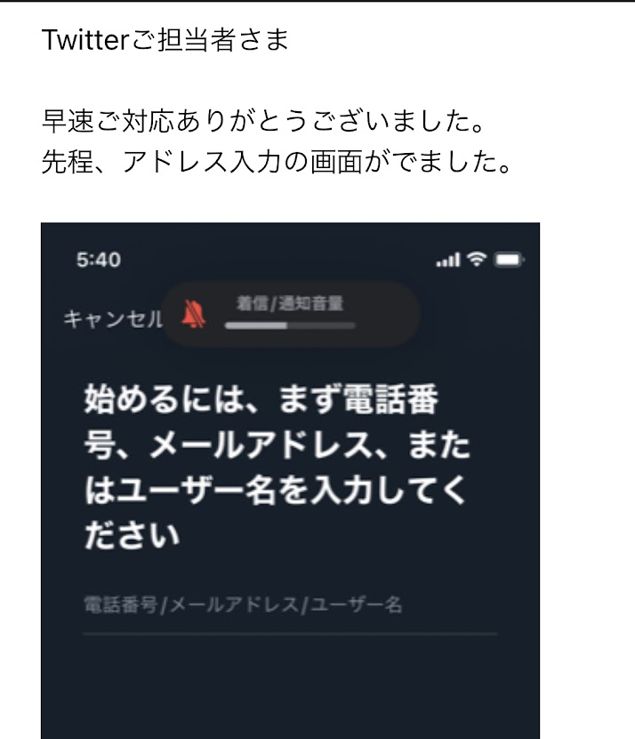 X(旧twitter) 永久凍結解除 29日目に身に覚えのない凍結から復活【凍結祭り】 マヨ決めgo!ゆみママblog