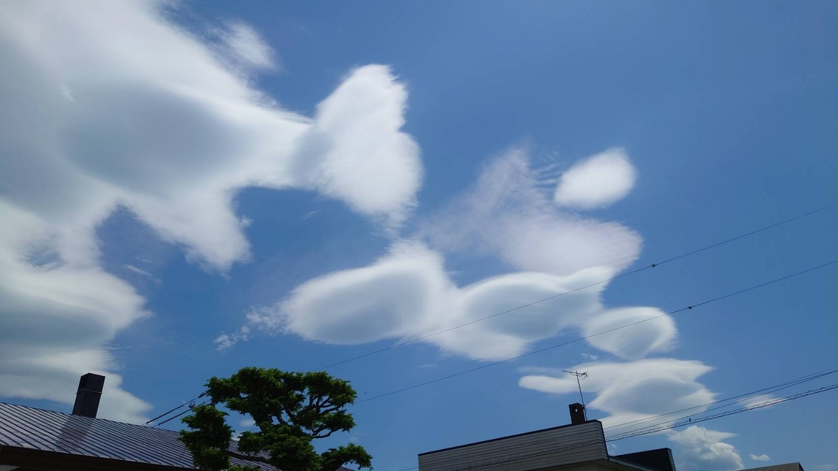 朝が思ったよりもっと早かった… - ゆみぽんのおうち