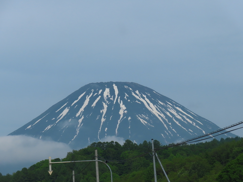 函館旅行 6/5～6/6 - ゆらぎの日記