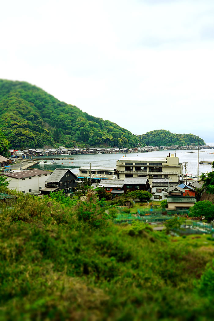 京都旅行#09（3日目 - CAFE＆BB guriでお茶 -） - ユリイカ家のゆるゆるとした日常