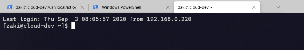 Windows Terminalの新規ターミナルに項目追加して1操作で指定サーバーにssh接続できるようにする - zaki work log