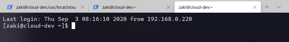 Windows Terminalの新規ターミナルに項目追加して1操作で指定サーバーにssh接続できるようにする - zaki work log