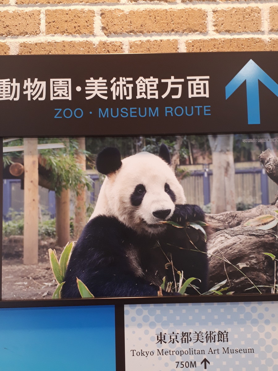 娘。25周年 - ゼファーの小言'