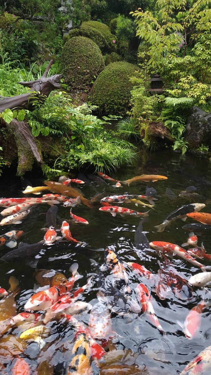 Scenic sightseeing spots in Tokyo: 4 must-visit Akigawa Valley - 地元ナビ