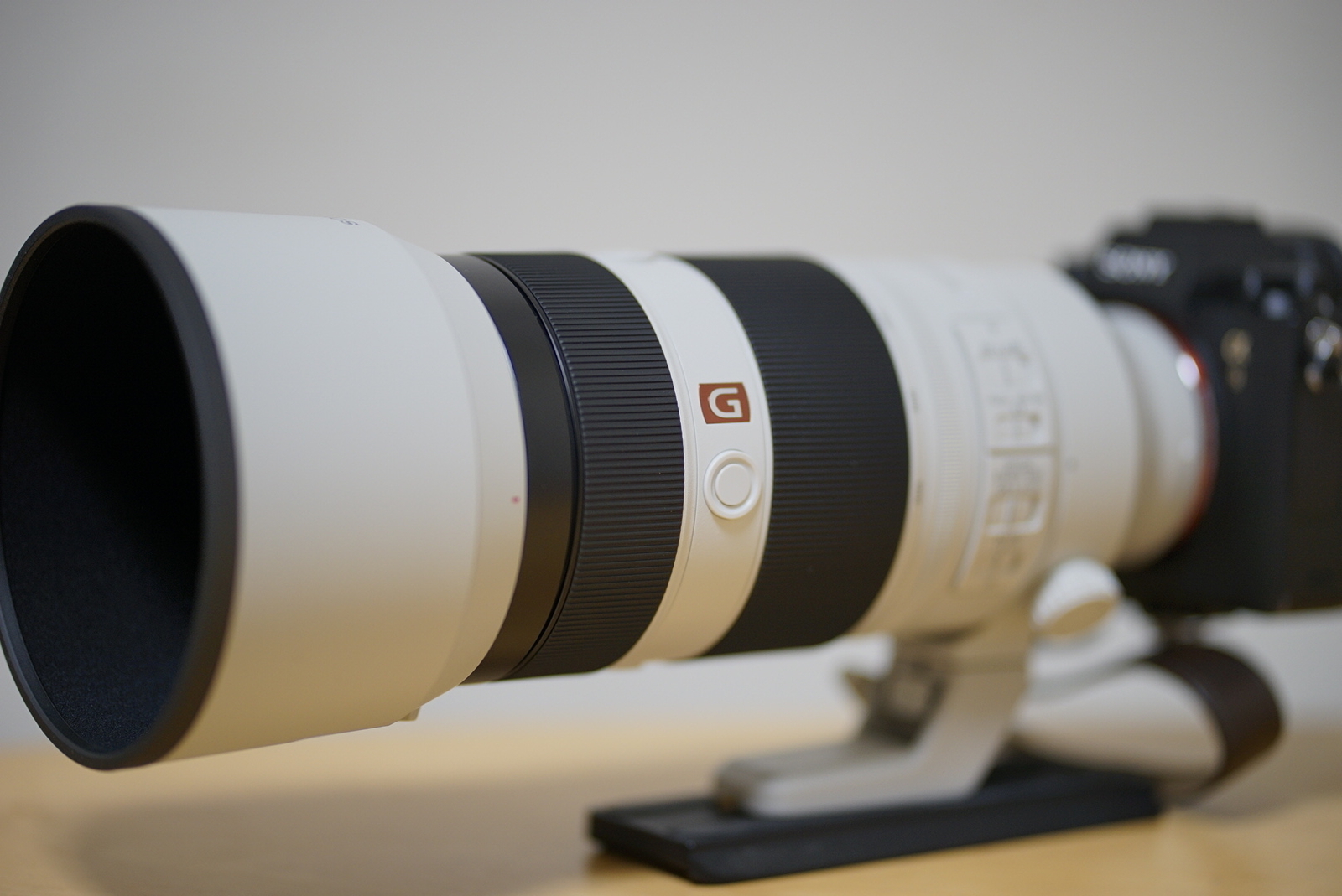 SEL100400GMの試し撮り(野鳥) - あの自由気ままな雲のように