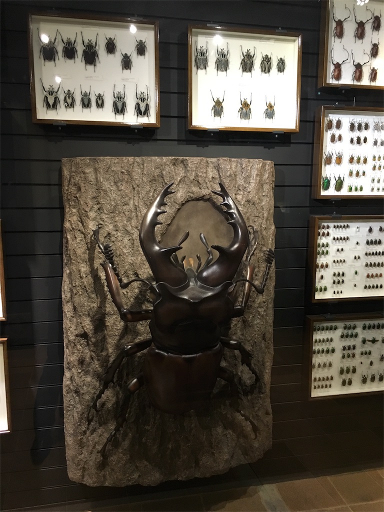 KITAKYUSHU MUSEUM OF NATURAL HISTORY & HUMAN HISTORY - Seribu Muka ...